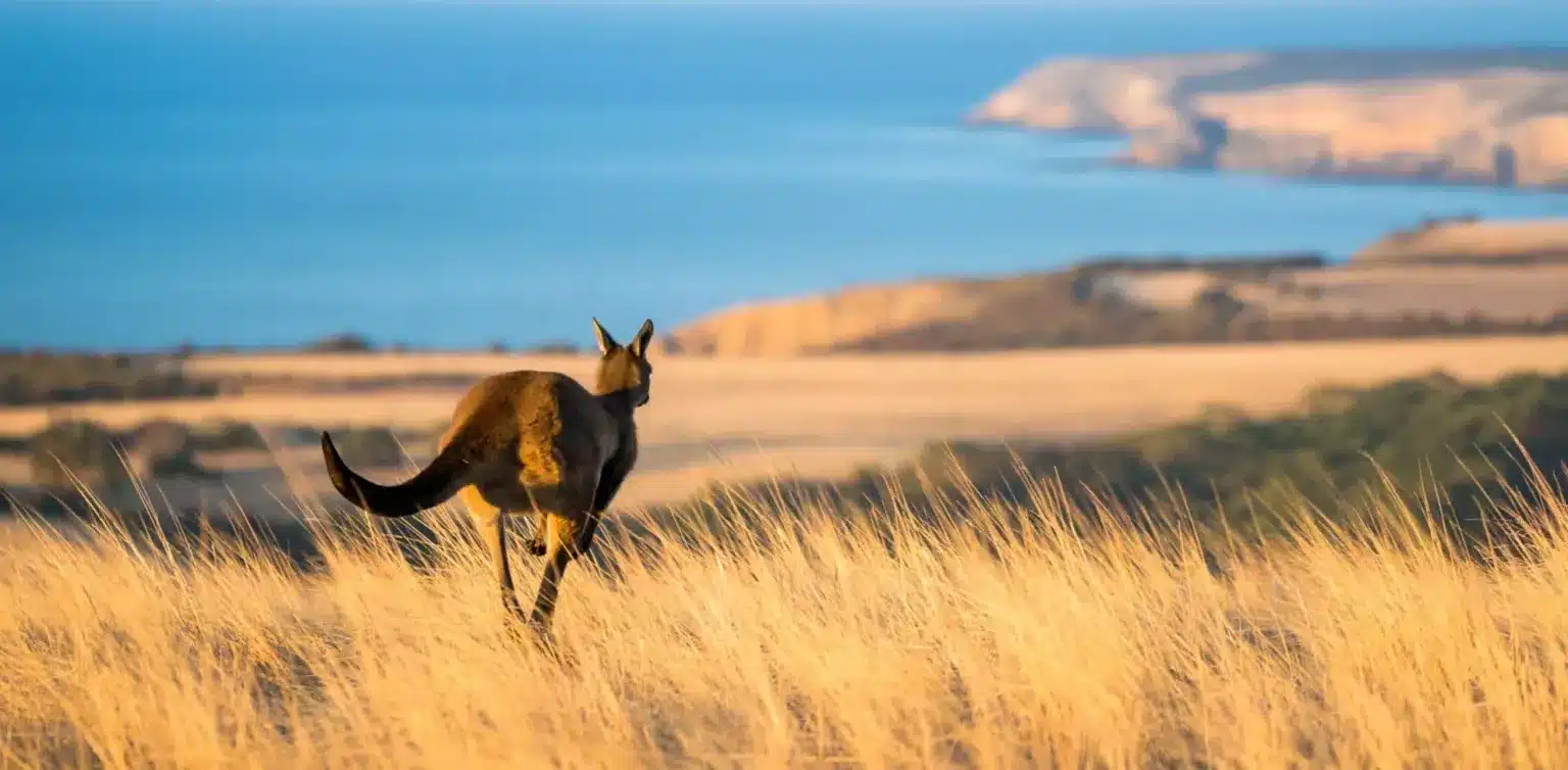 Essential Tech Tips For Short Breaks Stay Connected And Entertained